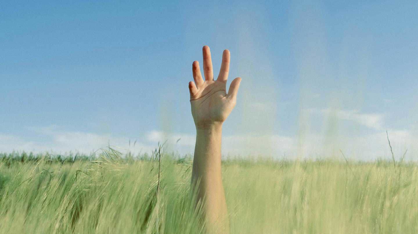 Sustainable film production, climate-friendly film production ...